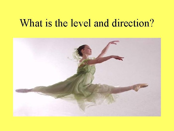 Learning the Vocabulary The Elements of Dance Space