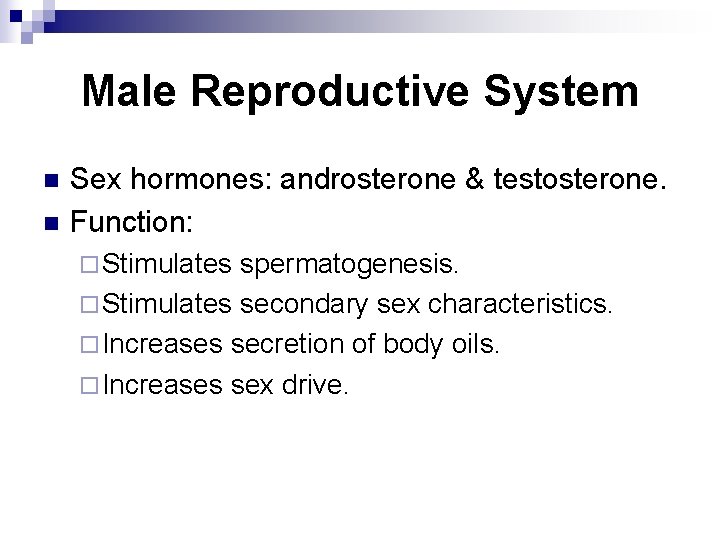 Reproductive Hormones Reproductive Hormones Male gonads testes produce