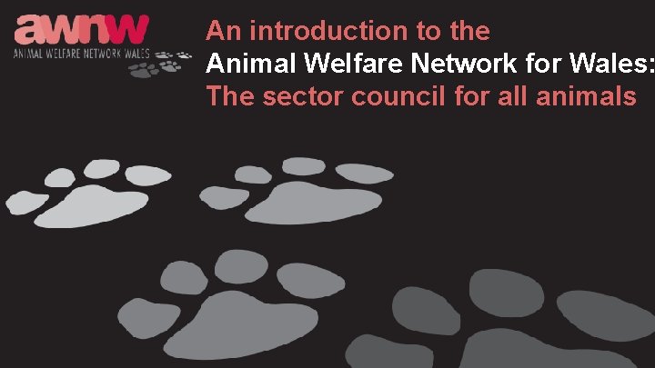 An introduction to the Animal Welfare Network for