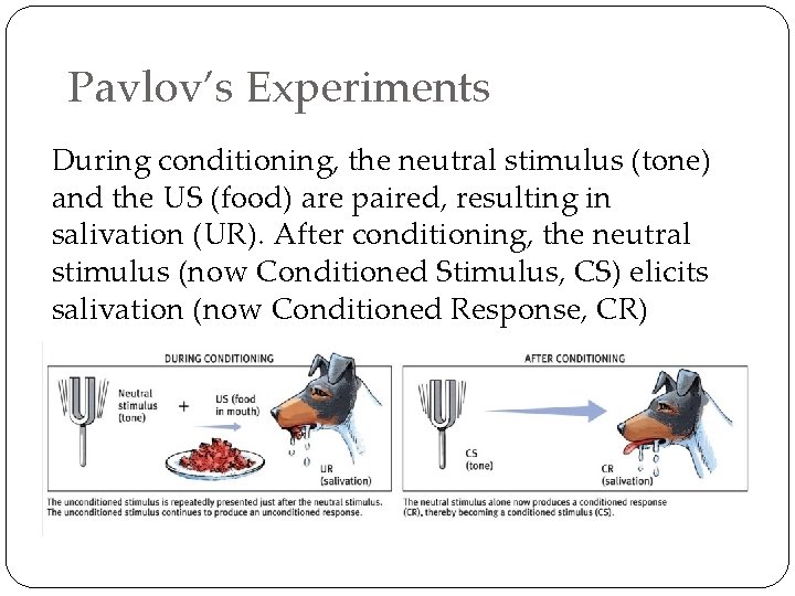 Chapter 7 Learning Chapter Objectives Describe the process