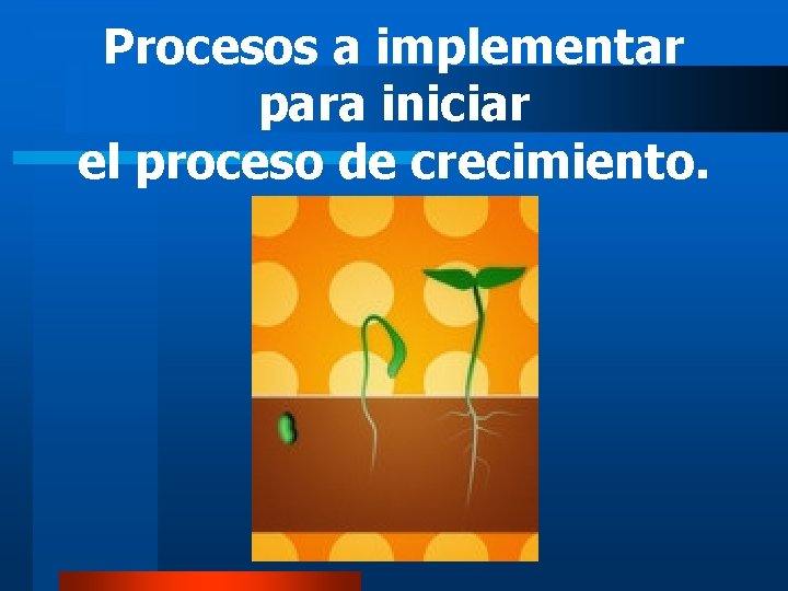 Procesos a implementar para iniciar el proceso de