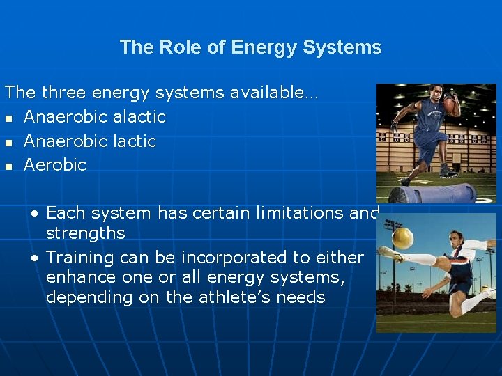 What Is Training n n Makes the body