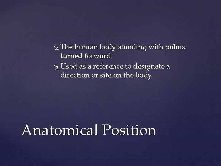 The Body Introduction to Healthcare Walton High School