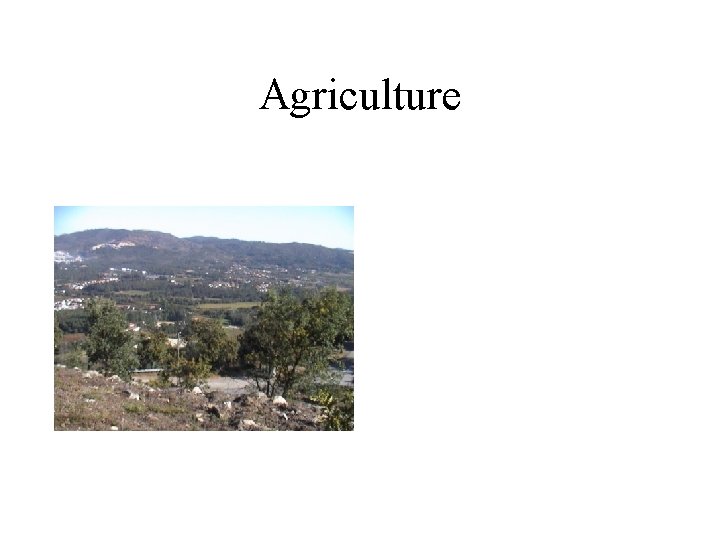 CELTIC OPPIDA URBAN HILLFORTS IN THE IBERIAN PENINSULA