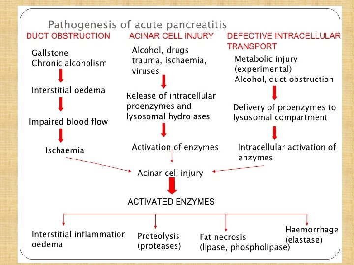 ACUTE PANCREATITIS DR BHUMIKA SAMBYAL ACUTE PANCREATITIS Acute
