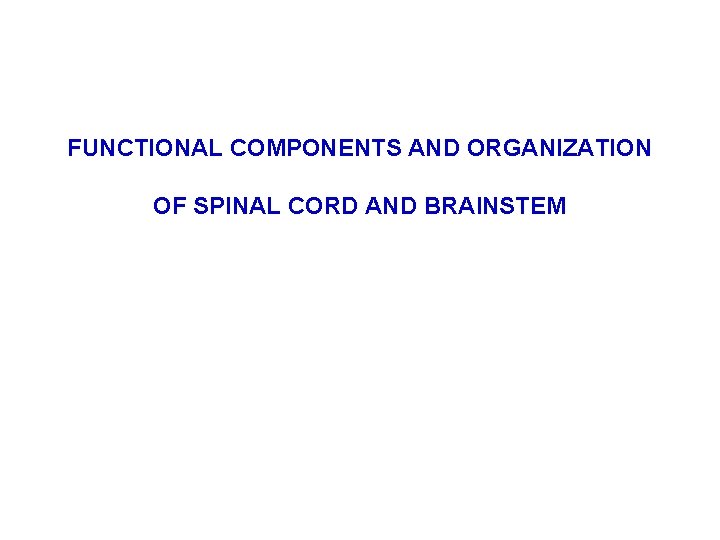 FUNCTIONAL COMPONENTS AND ORGANIZATION OF SPINAL CORD AND