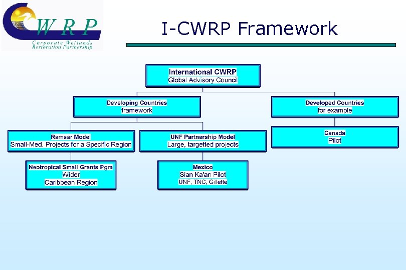 Internationalizing the Corporate Wetlands Restoration Partnership Dr Karla