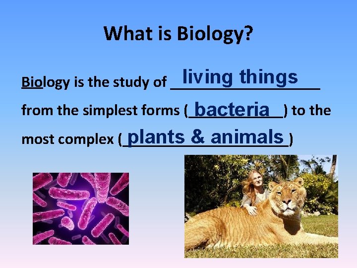 Introduction to Biology Scientific Method What is Biology