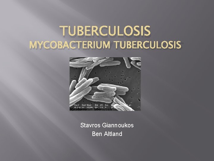 TUBERCULOSIS MYCOBACTERIUM TUBERCULOSIS Stavros Giannoukos Ben Altland ...