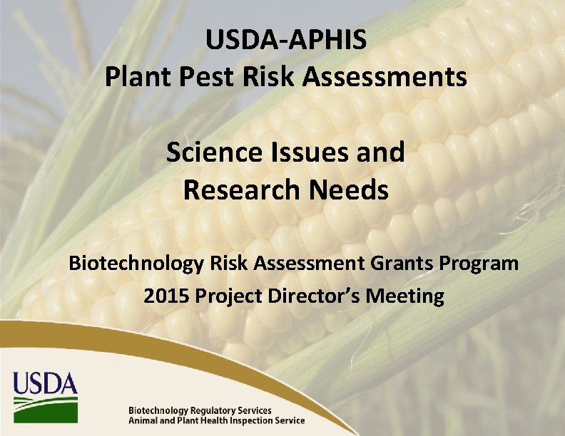 USDAAPHIS Plant Pest Risk Assessments Science Issues and
