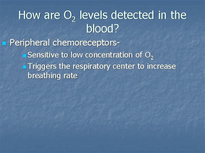 Controls of Breathing Page 35 What controls breathing