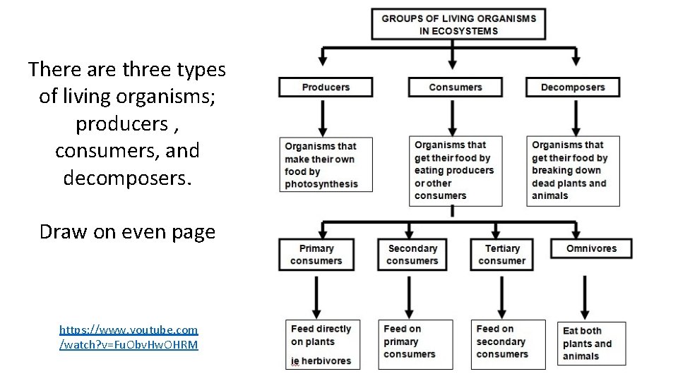 Ecosystems There are three types of living organisms
