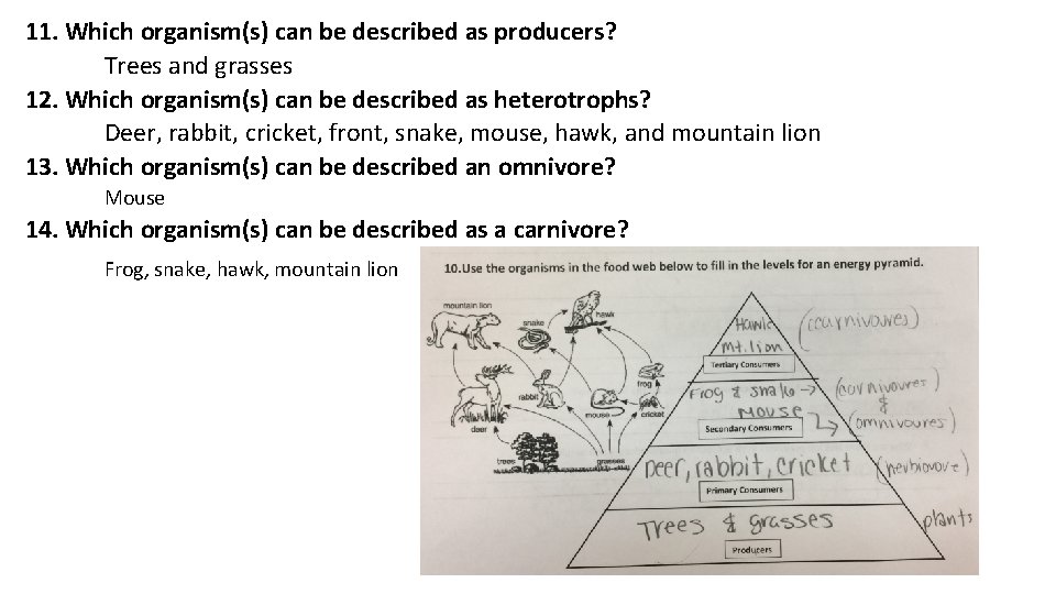 Ecosystems There are three types of living organisms