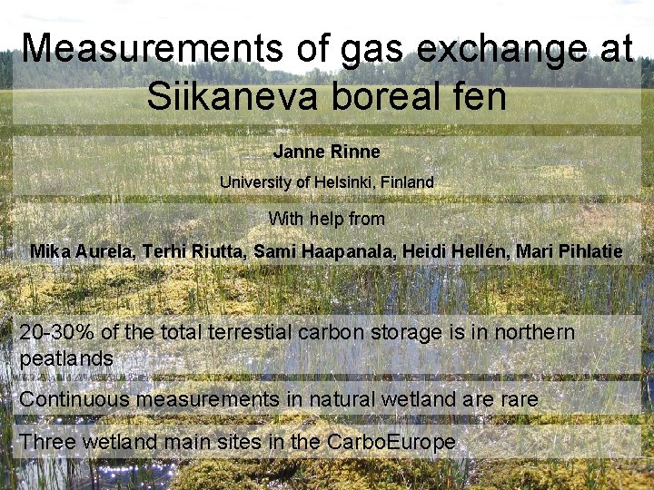 Measurements of gas exchange at Siikaneva boreal fen