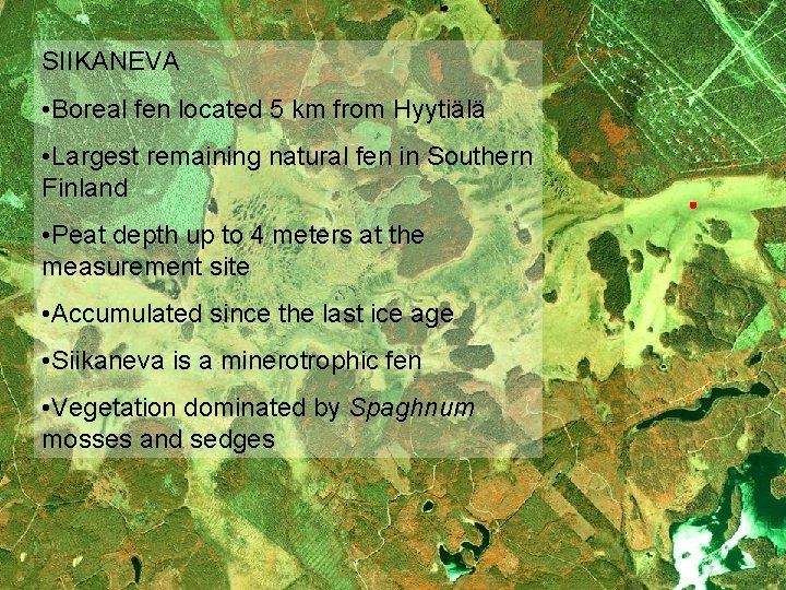 Measurements of gas exchange at Siikaneva boreal fen