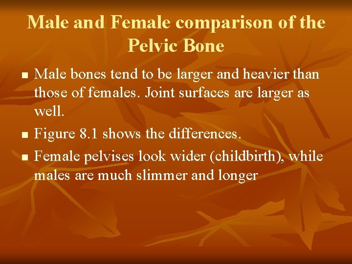 Chapter Eight The Skeletal System The Appendicular Skeleton
