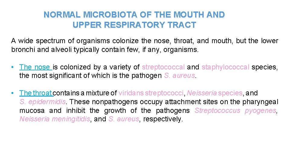 NORMAL HUMAN MICROBIOTA DR WASAN ABDUL ILAH BAKIR