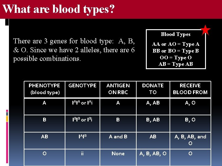 BLOOD TYPING AND SEX LINKED TRAITS Genetics of