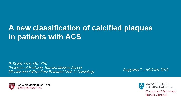 A new classification of calcified plaques in patients