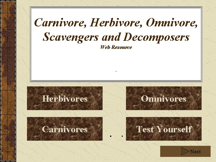 Carnivore Herbivore Omnivore Scavengers and Decomposers Web Resource