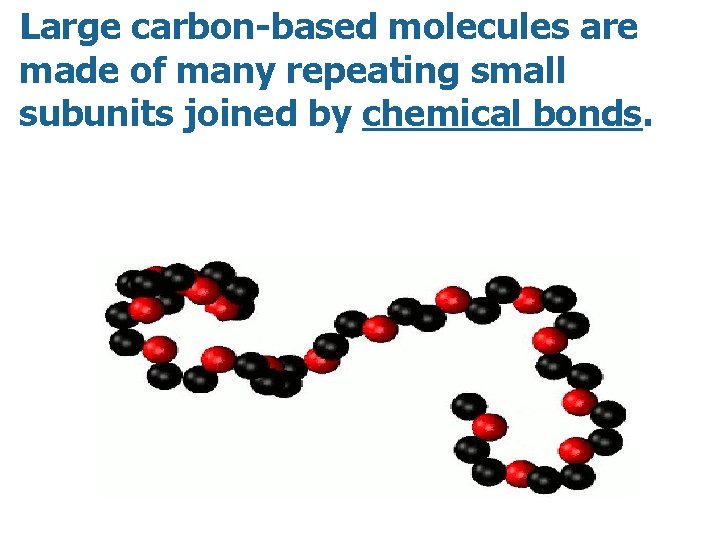 2 3 CarbonBased Molecules KEY CONCEPT Carbonbased molecules