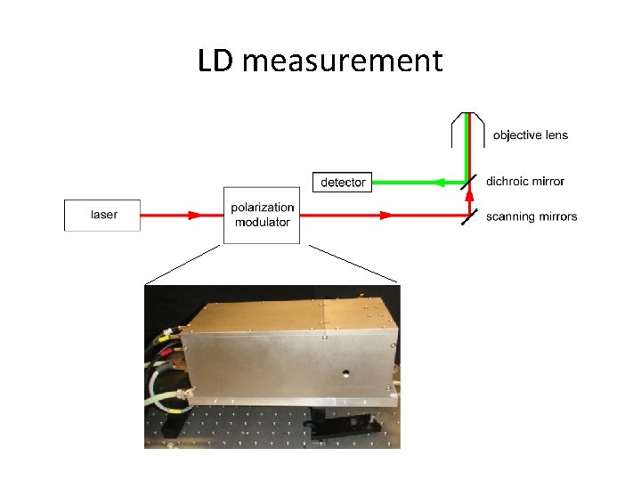 Optical and computational studies of membrane protein structure