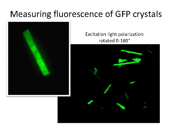 Optical and computational studies of membrane protein structure