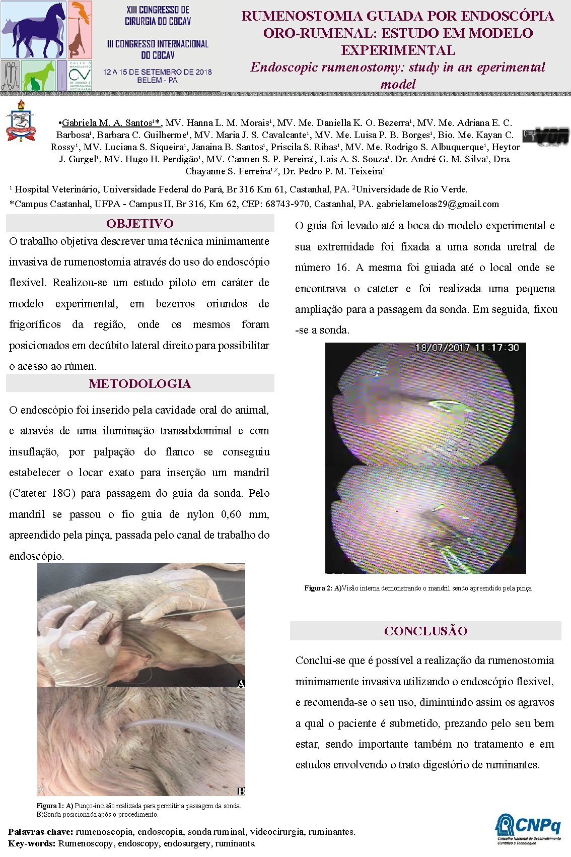 RUMENOSTOMIA GUIADA POR ENDOSCPIA ORORUMENAL ESTUDO EM MODELO