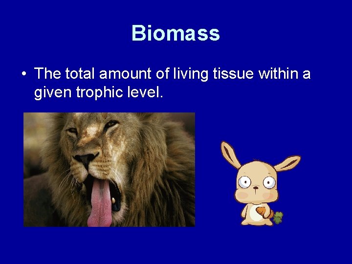 Chapter 3 Topic 4 Trophic levels and Ecological