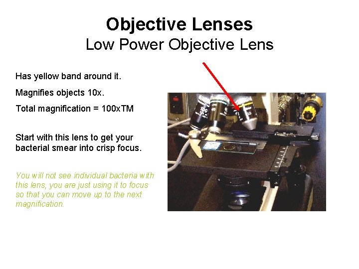 Microscopy Simple Stains Your Light Microscope TAKE CARE