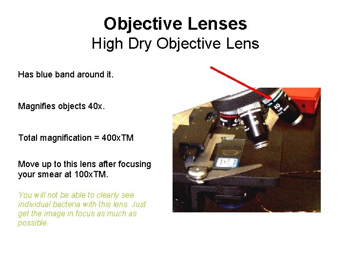 Microscopy Simple Stains Your Light Microscope TAKE CARE