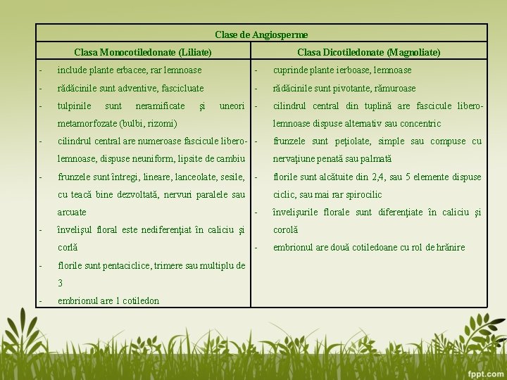 ANGIOSPERMELE CARACTERE GENERALE sunt cele mai rspndite i