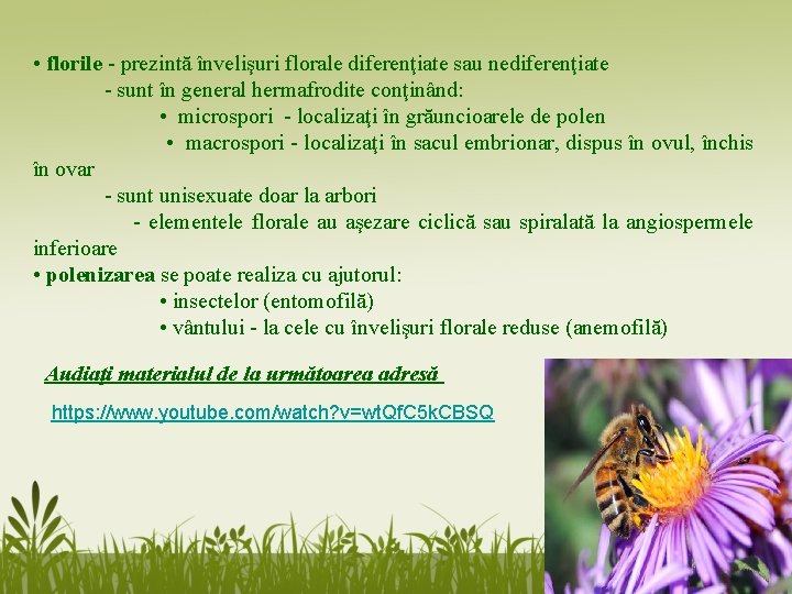 ANGIOSPERMELE CARACTERE GENERALE sunt cele mai rspndite i