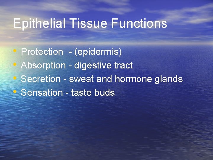 Biology 105 Chapter 39 Introduction to structure and