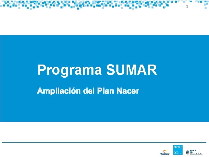 1 Programa SUMAR 2 Ejes fundamentales del Plan