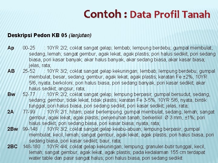 Survei Tanah dan Evaluasi Lahan INTERPRETASI DATA SURVEI