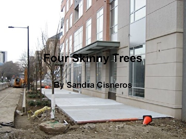 Four Skinny Trees By Sandra Cisneros They are