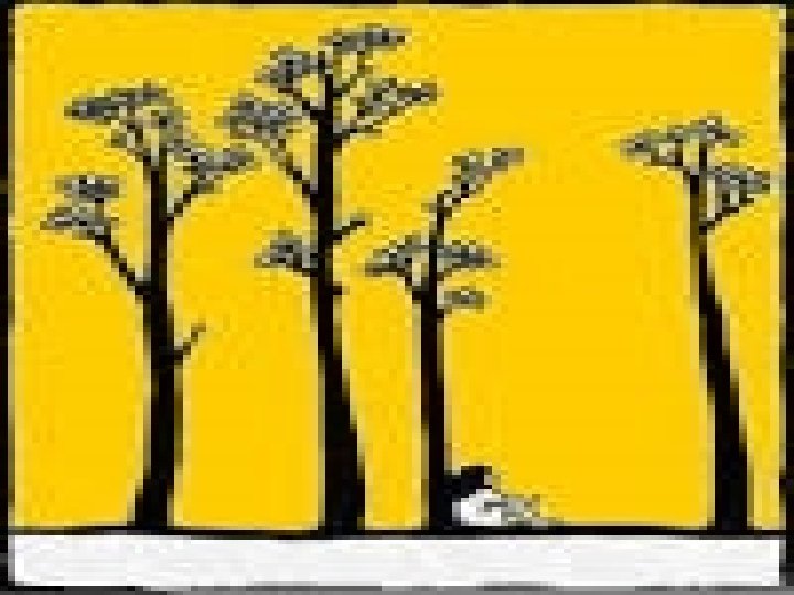 Four Skinny Trees By Sandra Cisneros They are