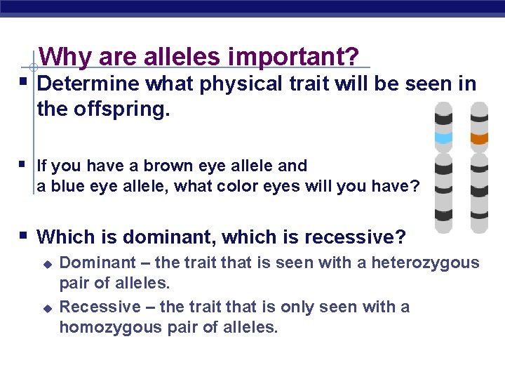 Aim How do different combinations of genes control