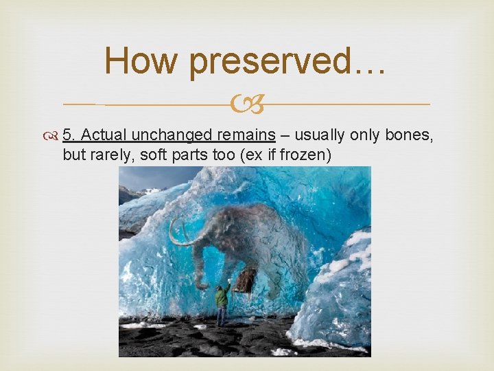 Fossils Earth Science 11 A How preserved Fossil