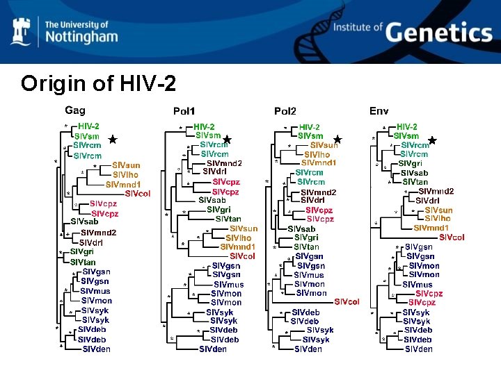 Origins of Human AIDS Viruses Elizabeth Bailes Institute