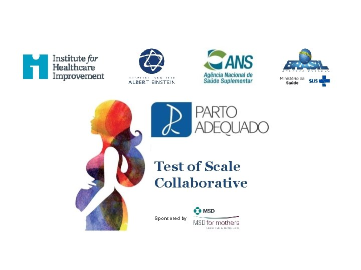 Test of Scale Collaborative Sponsored by PILOT COLLABORATIVE