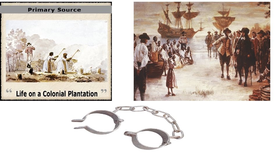 Colonial Economy Section 1 Chapter 4 Overview Life