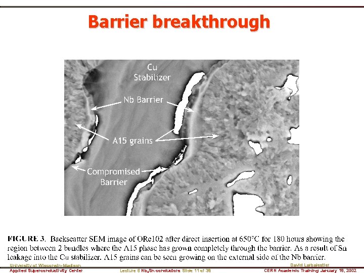 Conductors of Nb 3 Sn What are the