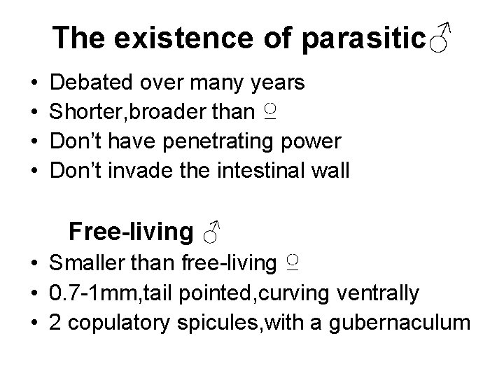 Strongyloides stercoralis Anguillula stercoralis Bavay 1876 Geographic ...