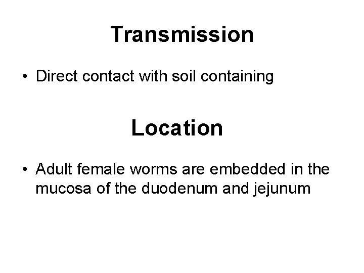 Strongyloides stercoralis Anguillula stercoralis Bavay 1876 Geographic ...