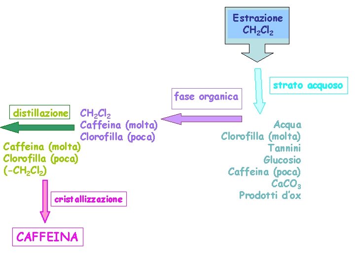 ESTRAZIONE DELLA CAFFEINA DAL THE Brevi cenni storici