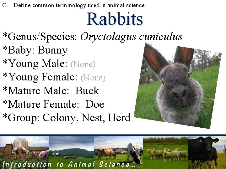 C Define common terminology used in animal science