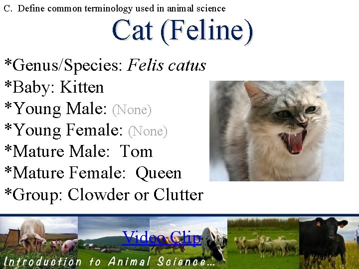 C Define common terminology used in animal science