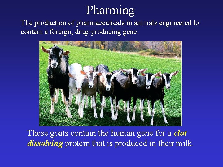 BIOTECHNOLOGY Embryonic stem cells and gene therapy Dolly